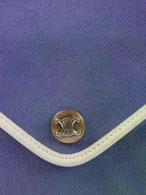 Celine 1970s Triomphe Clutch Bag