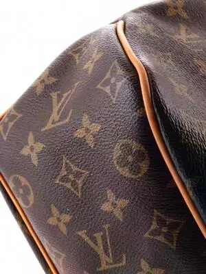 LOUIS VUITTON Delightful Nm Handbag Monogram Canvas Pm Hobo Bag