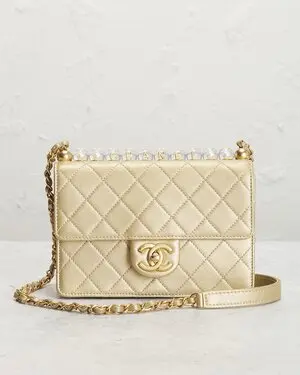 FWRD RENEW Chanel Goatskin Small Chic Pearls Flap Bag
