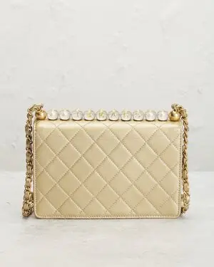 FWRD RENEW Chanel Goatskin Small Chic Pearls Flap Bag