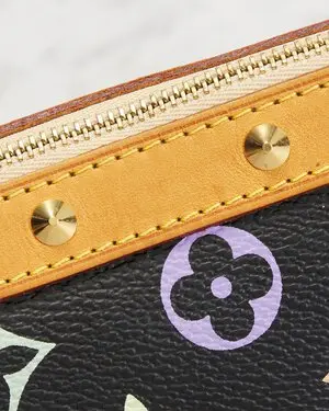 FWRD RENEW Louis Vuitton Monogram Pochette Accessories Shoulder Bag - Black