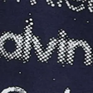 Calvin Klein Cotton Poplin Logo Pyjama Shorts