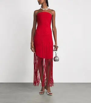 Cult Gaia Embroidered Edina Maxi Dress