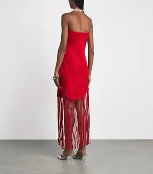Cult Gaia Embroidered Edina Maxi Dress