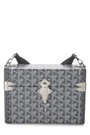 Goyard Cassette Trunk Bag