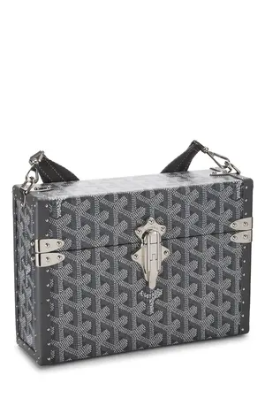 Goyard Cassette Trunk Bag