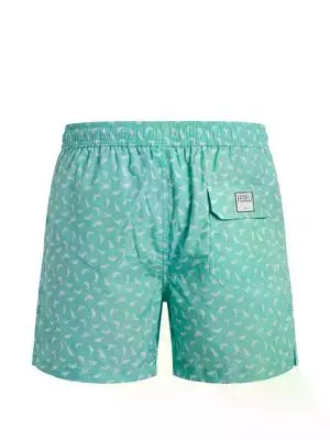 Fedeli Madeira Dolphin-print Swim Shorts - Green