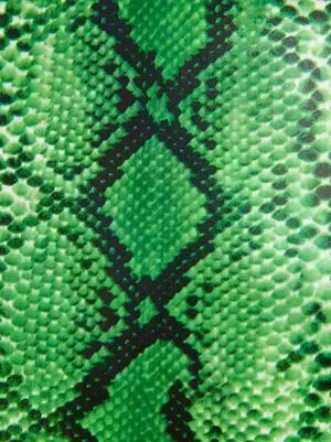 RÉSUMÉ Snake-effect Strapless Cropped Top