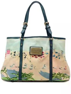 LOUIS VUITTON 2011 Ailleurs Cabas Promenade Pm Tote Bag