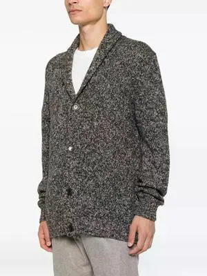 Tagliatore Shawl Collar Cardigan
