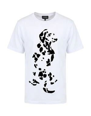 Emporio Armani T-shirt Size Cotton - White