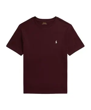 Polo Ralph Lauren Versatile Tshirt - Brown