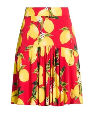 Dolce & Gabbana Mini Skirts