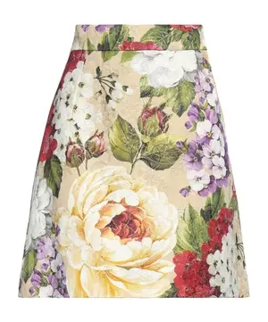 Dolce & Gabbana Mini Skirts