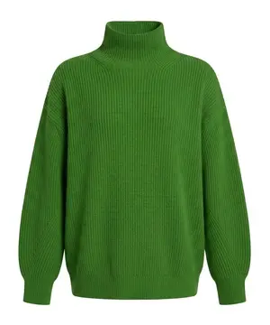 Sportmax Thickened Turtleneck Knit Sweater