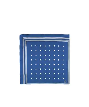Max Mara Scarves Foulards - Blue