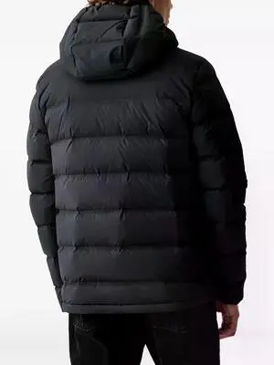 Adidas Hooded Padded Jacket With Logo Detail