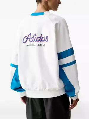 Adidas Graphic Print Panelled Sweater