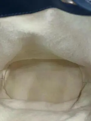 Gucci 20th Century Gg Supreme Web Bucket Bag