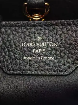 LOUIS VUITTON Taurillon Capucines Pm Satchel
