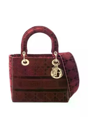 Dior 2010-2026 Medium Embroidered Velvet Cannage Lady D Lite Satchel - Red