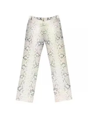 Roberto Cavalli 2000s Snake-print Jeans - Neutrals