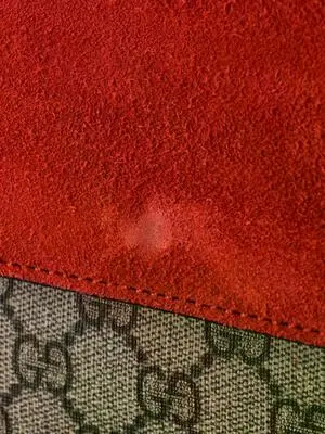 Gucci Dionysus Bag Gg Coated Canvas Small Shoulder Bag