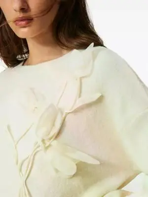 TWINSET Jumper With Organza Floral Ramage Appliqu