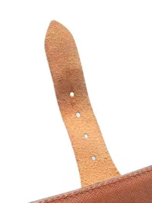 LOUIS VUITTON Monogram Canvas Cartesier Crossbody Bag