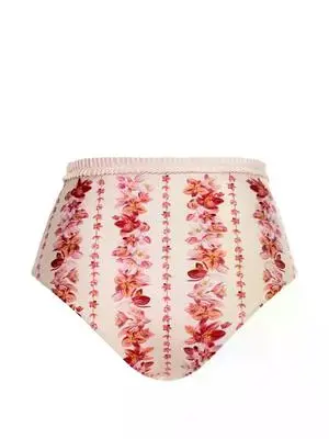 Agua Bendita Nopal Cauca Bikini Bottom