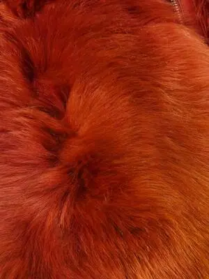 Fendi Fur Zip-up Gilet