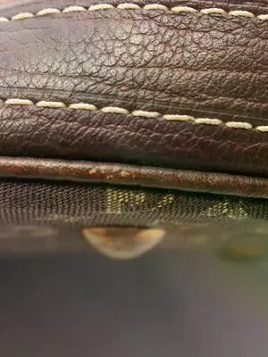 LOUIS VUITTON 2007 Mini Monogram Tote Bag