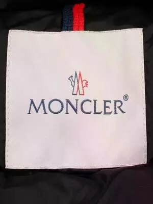 Moncler Gallinule Hooded Gilet