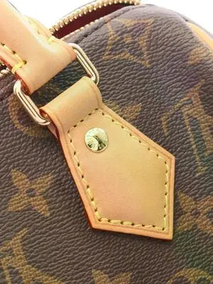 LOUIS VUITTON 2023 20 Speedy Bandoulière Monogram Handbag