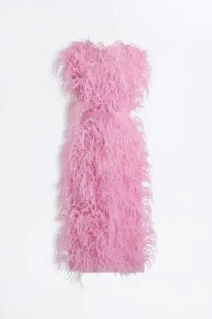 Scanlan Theodore Feather Gown
