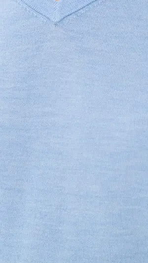 Secular V Neck Long Sleeve Sweater