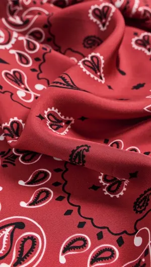 CALL IT BY YOUR NAME Silk Bandana Small