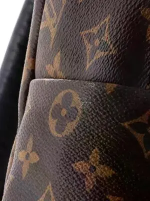 LOUIS VUITTON Palm Springs Monogram Canvas Pm Backpack