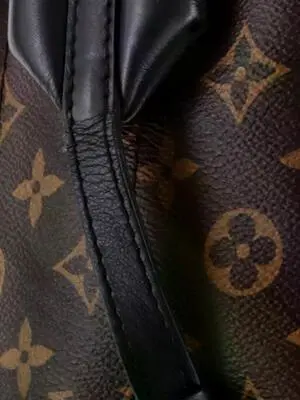 LOUIS VUITTON Palm Springs Monogram Canvas Pm Backpack