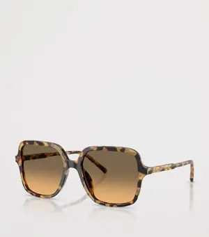 Dolce & Gabbana Acetate Dg4539 Square Sunglasses