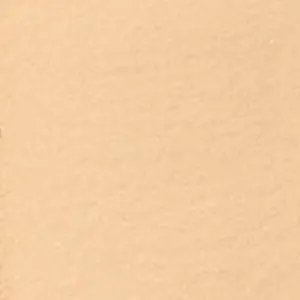SHISEIDO Synchro Skin Self-refreshing Custom Finish Powder Foundation