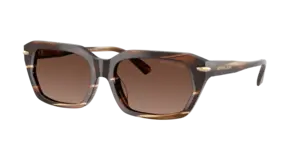 Michael Kors Man Sunglass Lake Tahoe Brown Solid Polarized