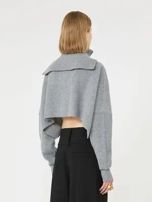 Max Mara Oversized Wool And Cashmere Cropped Sweater
