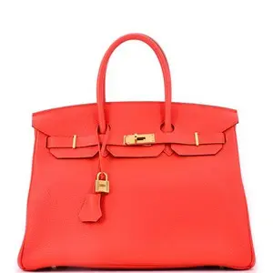 Hermès Birkin Handbag Orange Togo With Gold Hardware 35
