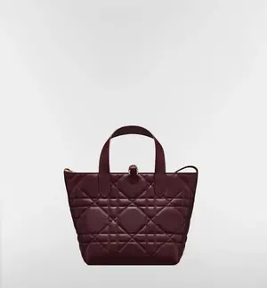 Dior Small Toujours Vertical Tote Bag