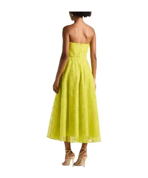 Max Mara Sleeveless Lace Tea Length Dress