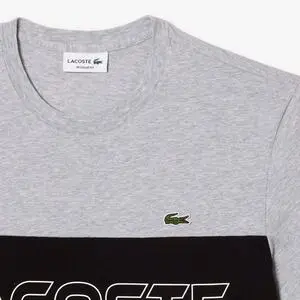 Lacoste Graphic Detail T-shirt