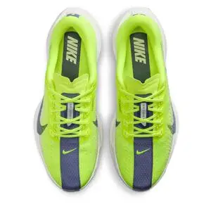 Nike Pegasus Plus Running Shoes