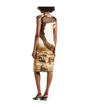 Dolce & Gabbana Sleeveless Organza Dress With Embellished Neckline