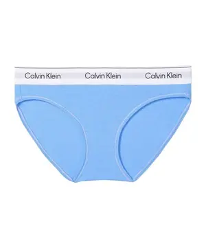 Calvin Klein Solid Color Briefs - No